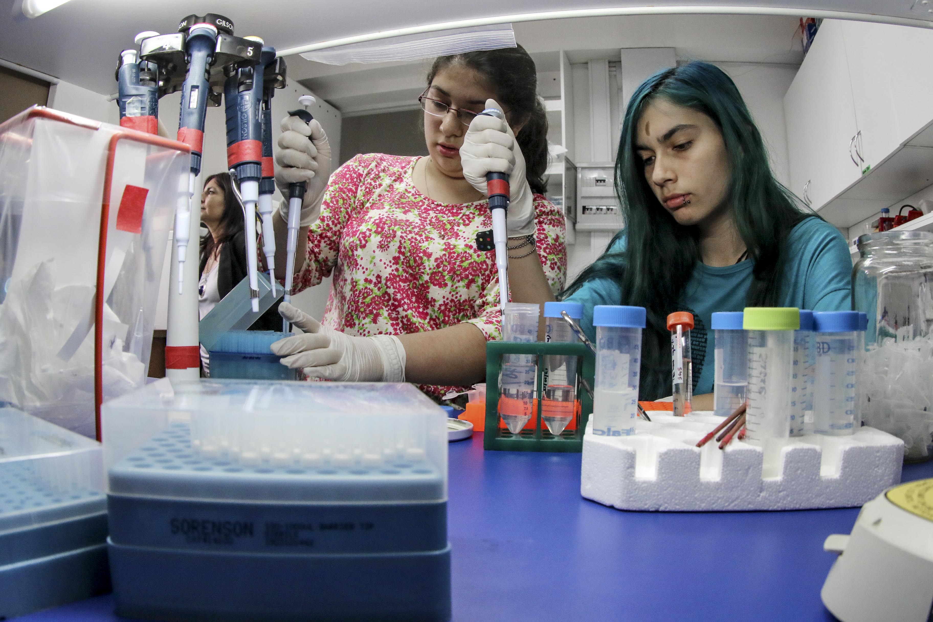 Jóvenes dedicaron una semana a una inmersión total en neurociencia ...
